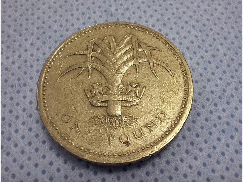 Velika Britanija - One Pound, 1985. ::Elizabeth II::
