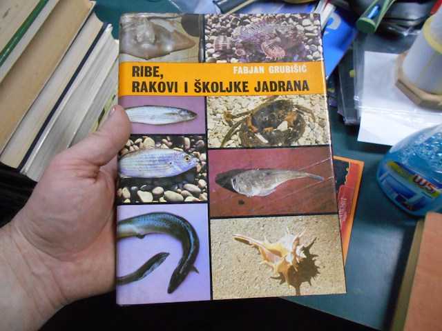 Fabjan Grubišić - RIBE, RAKOVI I ŠKOLJKE JADRANA