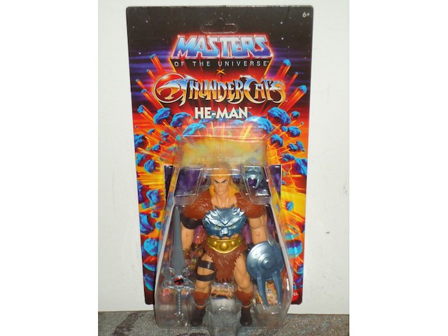 Masters of the Universe x ThunderCats - He-Man