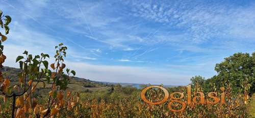 ВЕЛИКИ ПЛАЦ (83 ара), асфалтни прилаз, савршена локација. ПАНОРАМСКИ ПОГЛЕД на виноградарски пејзаж Матеја, Сремске Карловце и Нови Сад