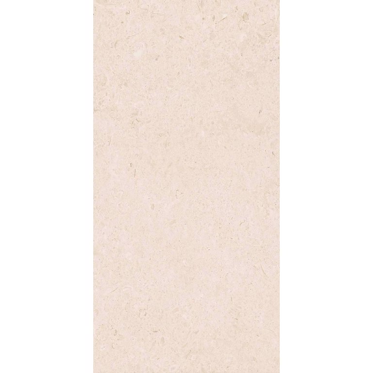 CARACTER BLANCO RT 60x120