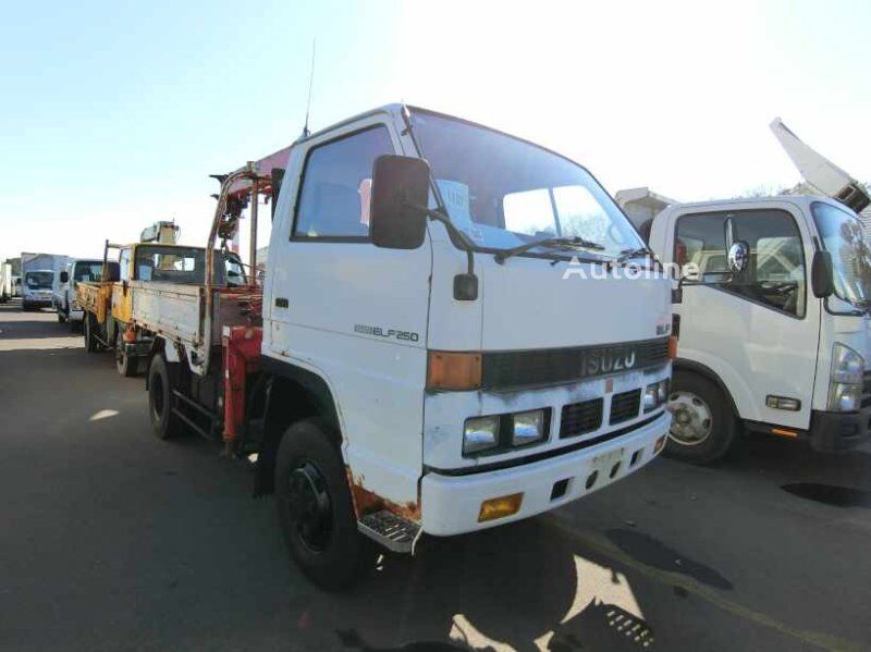 Isuzu ELF kamion s ravnom platformom