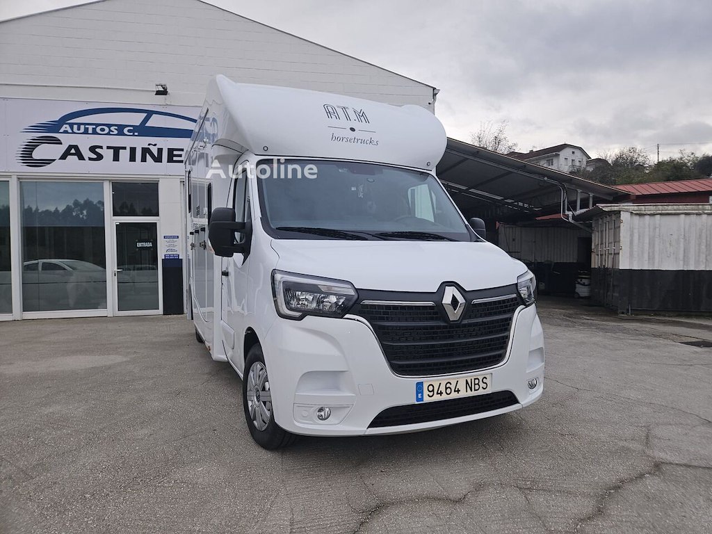 Renault master ATM vozilo za prevoz konja