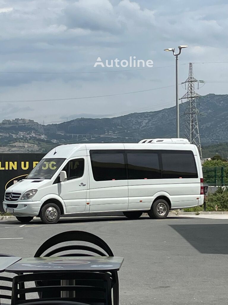 Mercedes-Benz Sprinter 519 putnički minibus