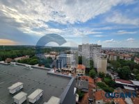 VOZDOVAC Vojvode Stepe ID: 94261301