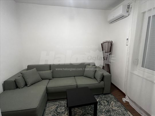 Dvorisni stan 21m2, Renoviran, Trscanska,