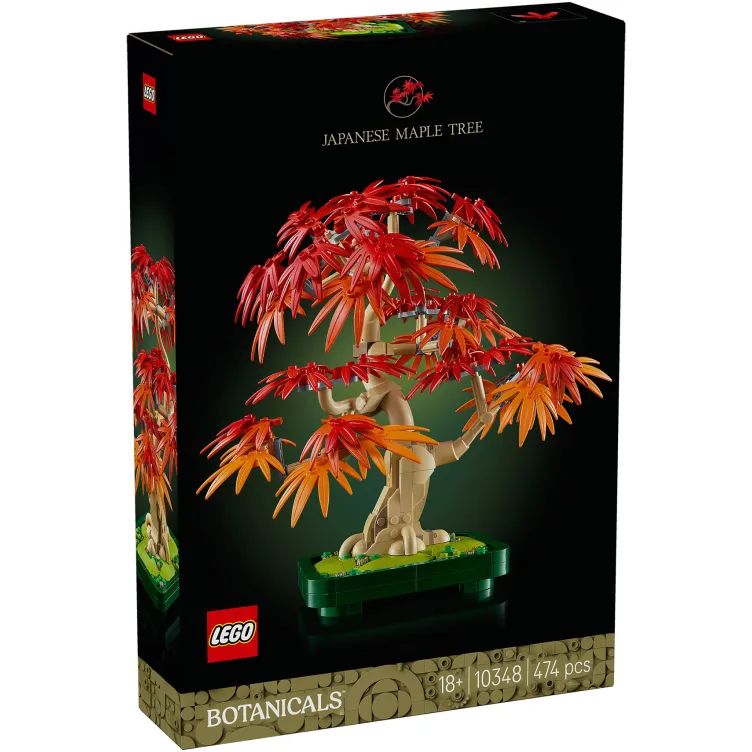10348 Crvenolisni japanski bonsai javor