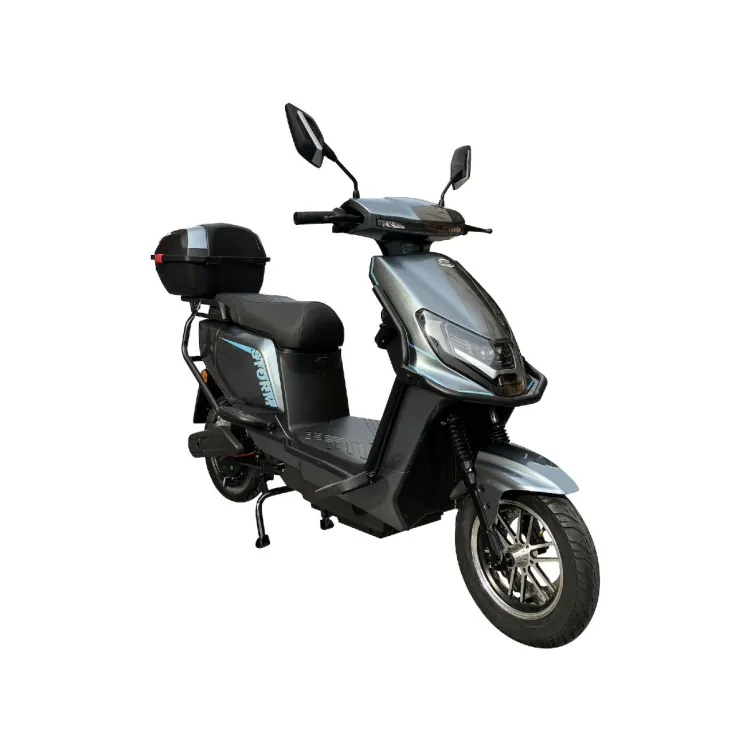 Električni bicikl 10" STORM (250W 60V/30Ah) LITHIUM siva