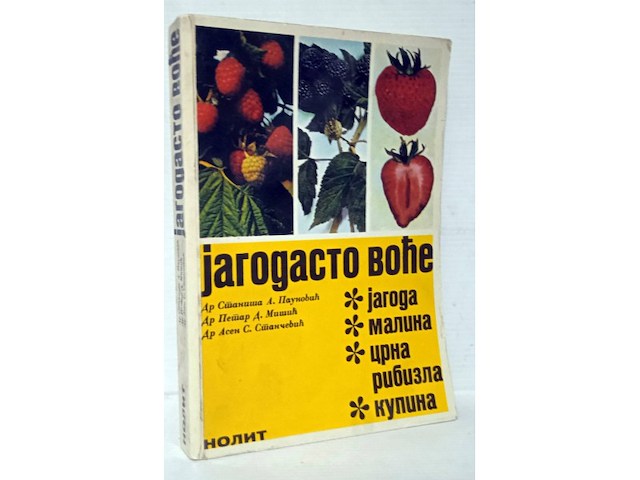 JAGODASTO VOĆE- Jagoda, malina,crna ribizla,kupina