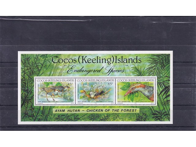 Cocos Islands Fauna