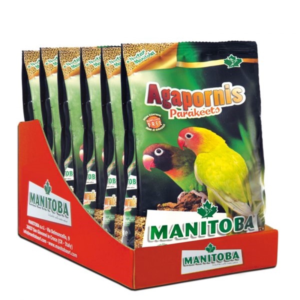 Manitoba Agapornis Parakeets