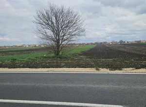 Prodaja Građevinsko zemljište - Stara Pazova
