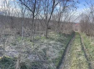 Prodaja Ostale nekretnine - Beograd, Grocka: Boleč - Zaklopača - Ritopek