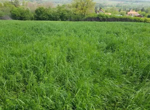 Prodaja Građevinsko zemljište - Beograd, Barajevo: Vranić - Baćevac - Lisović