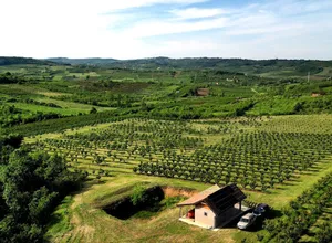 Prodaja Ostale nekretnine - Beograd, Grocka Centar