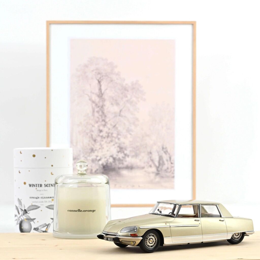 Citroën DS 21 Lorraine 1969 Champagne – Die-Cast Norev      Norev