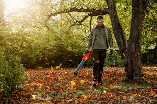 Saznajte sve o našim duvačima lišća