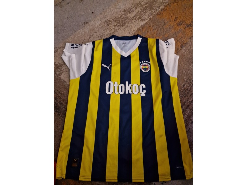 Puma fudbalski dres Fenerbahce