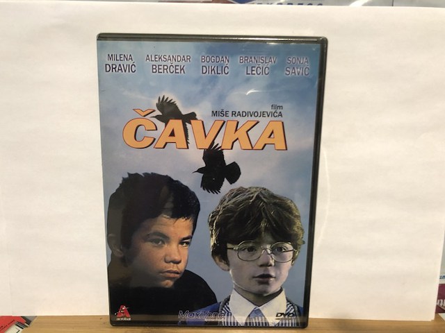 Čavka DVD
