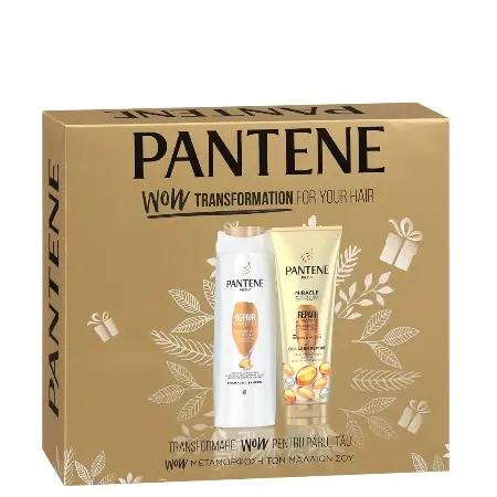 Pantene Set šampon i regenerator za kosu Pro-V Repair&Protect, 360ml+200ml