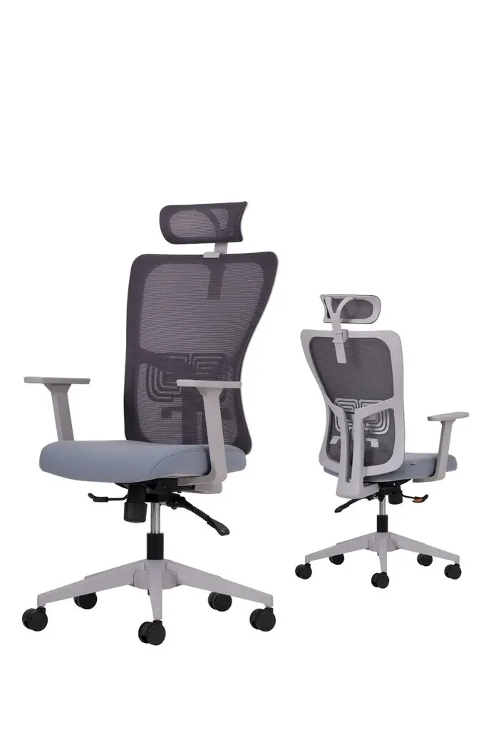 Hanah Home Set kancelarijskih stolica Lumbar 126, 2 komada, Sivi