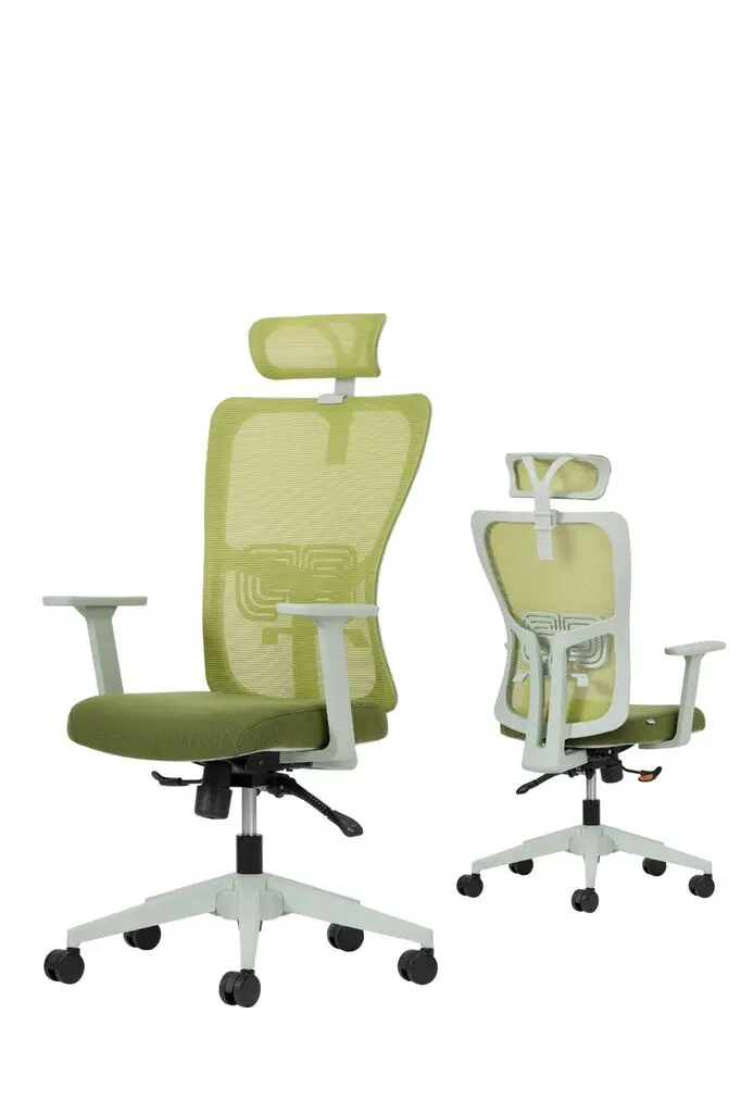 Hanah Home Set kancelarijskih stolica Lumbar 126, 2 komada, Zeleni