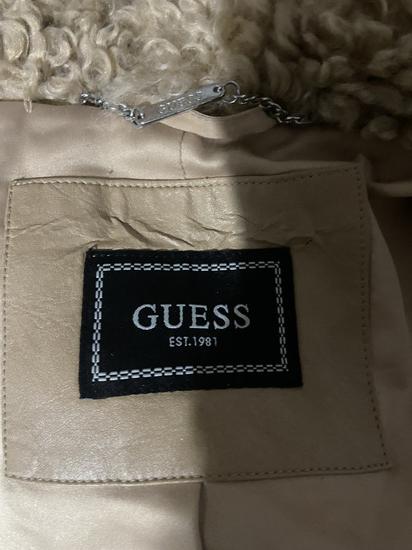 Guess teddy bunda
