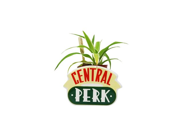 Saksija - Friends, Central Perk, Shaped