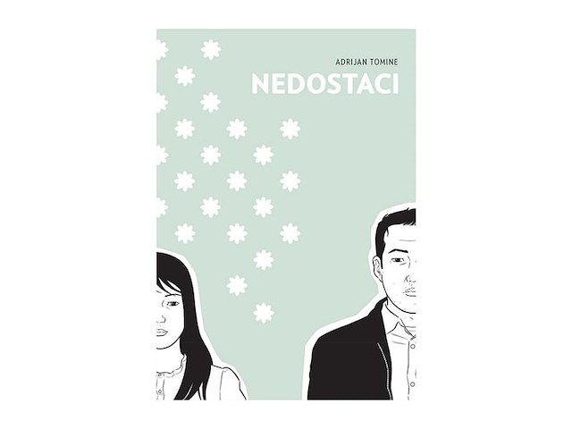 Nedostaci