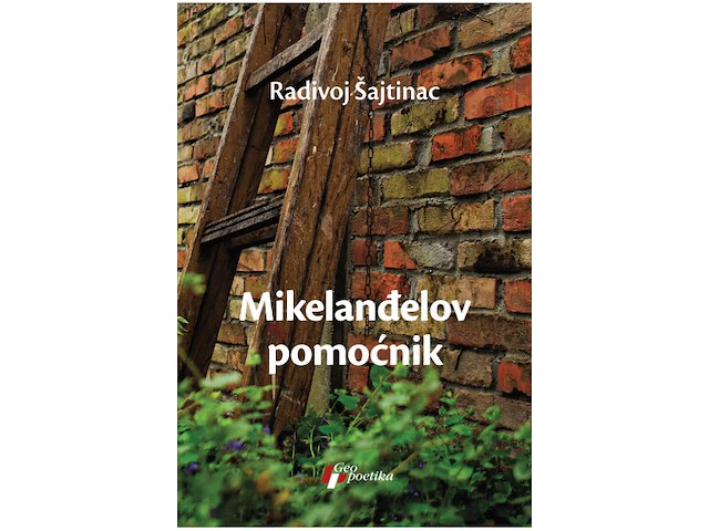 Mikelanđelov pomoćnik
