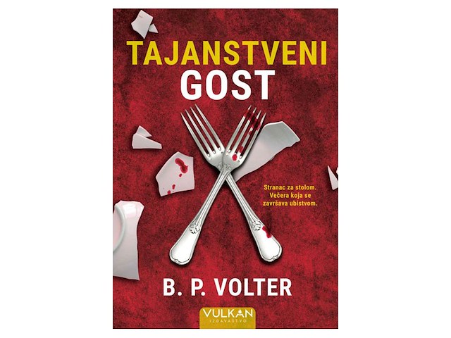 Tajanstveni gost