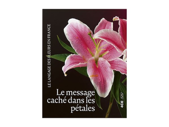 Poruka skrivena među laticama-Le langage des fleurs en France