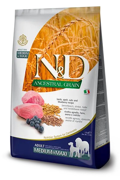 N&D Ancestral Grain Medium&Maki Adult 12kg. - јagnjetina, pira, ovas i borovnice