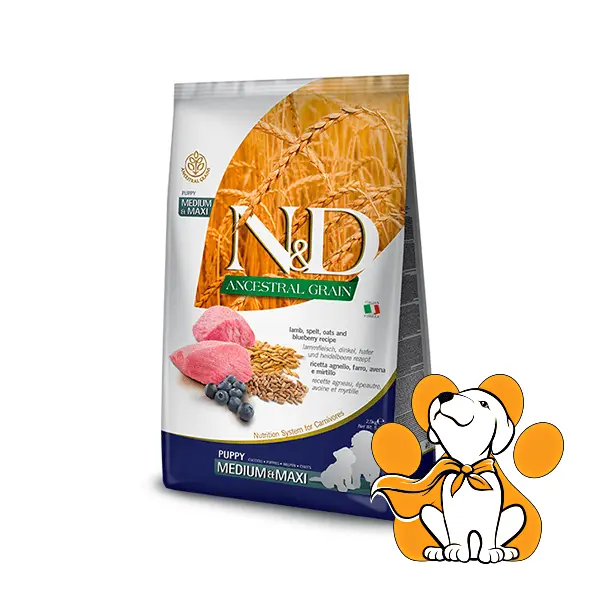 N&D Suva hrana za štence Ancestral Grain Medium/Maxi Jagnjetina i Borovnica 12kg