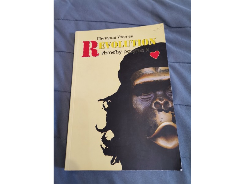 Milorad Ulemek Legija, REVOLUTION
