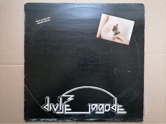 DIVLJE JAGODE - Divlje jagode