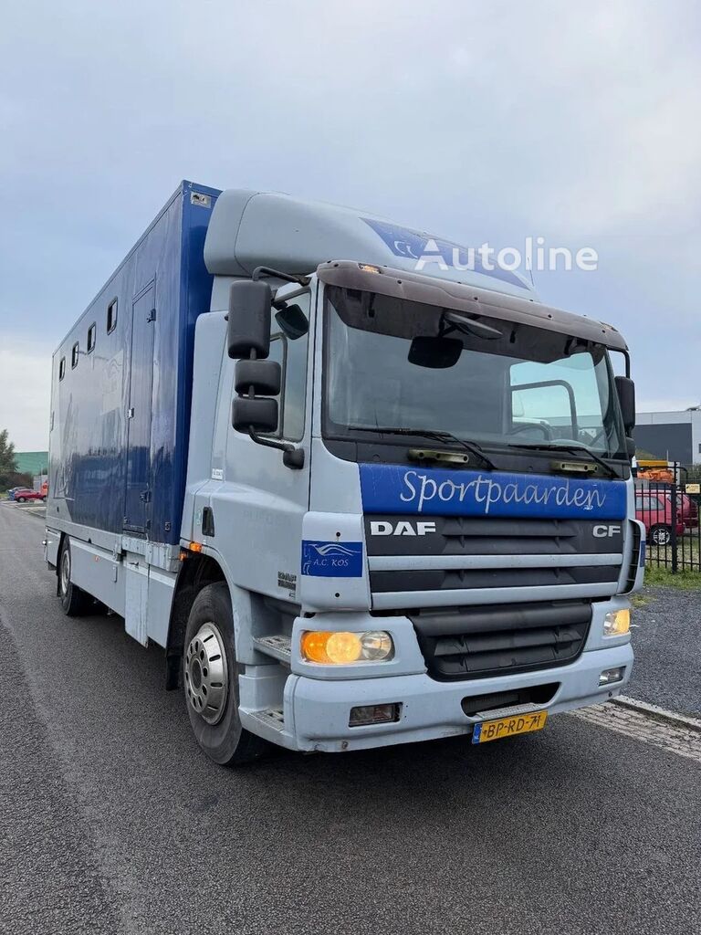 DAF CF 75.360 / EURO 3 / AUTOMATIC GEARBOX / 2004 / 1.203.418 KMS / kamion za prevoz konja