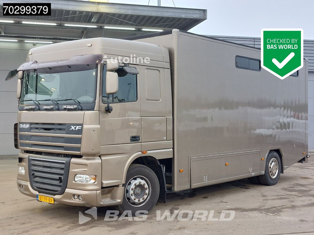 DAF XF105.410 XF 4X2 NL-Truck JK Horsetruck 6 Horses Pferdentranspor kamion za prevoz konja