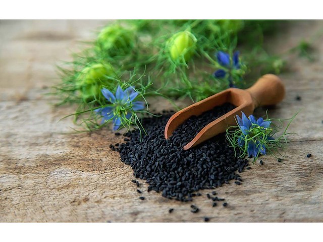 Crni kumin (Nigella sativa) - 200 semena