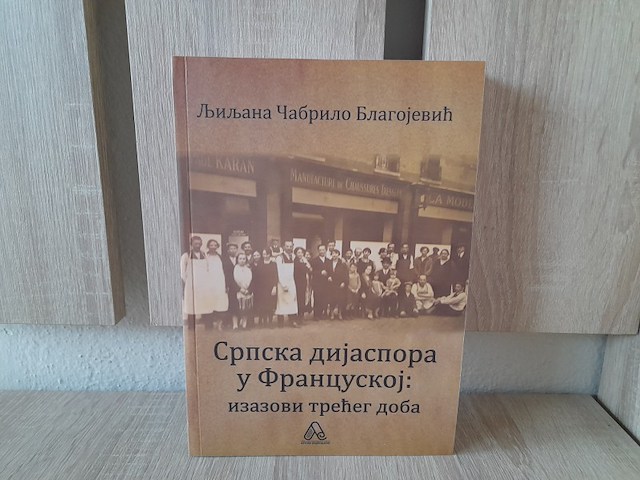 Srpska dijaspora u Francuskoj, izazovi trećeg doba