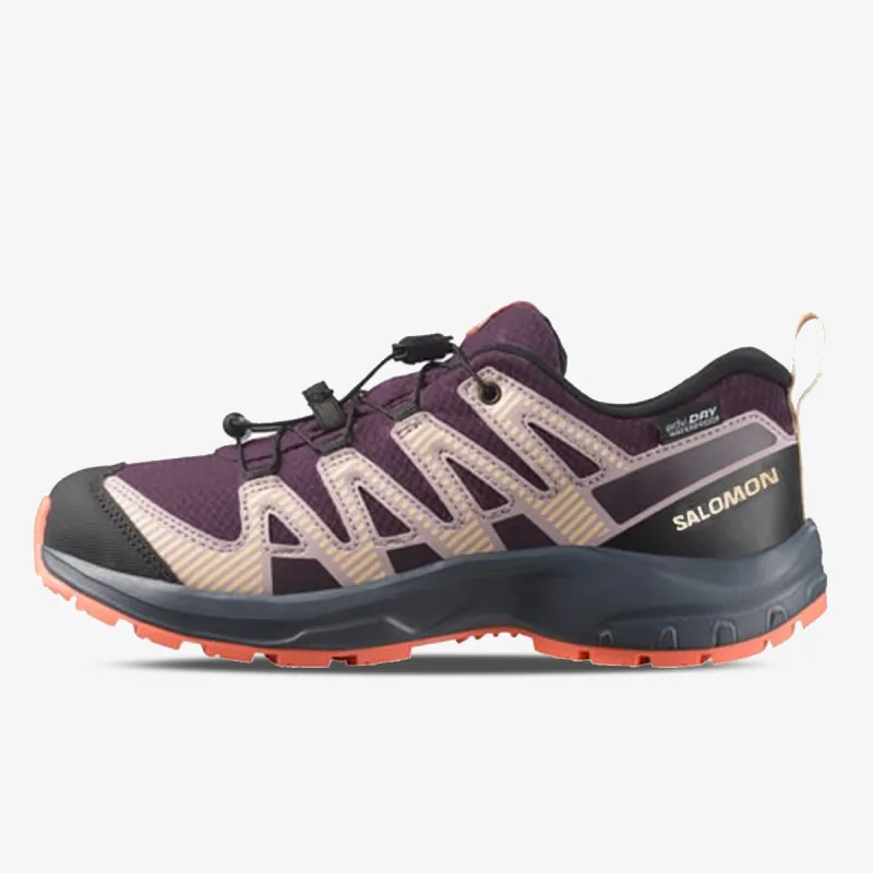 Salomon XA Pro V8 WP