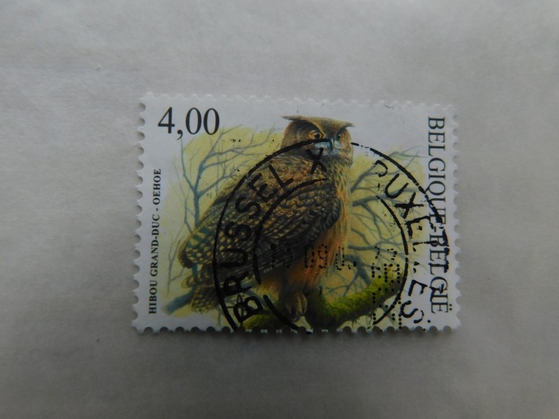 BELGIJA 2004