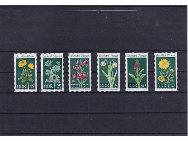 DDR Flora 1969