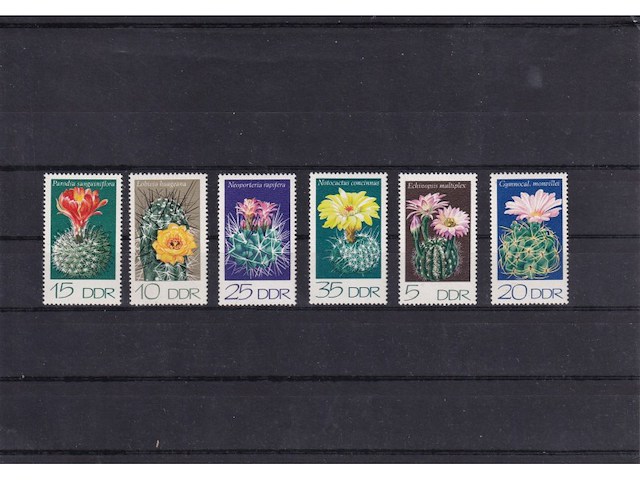 DDR Flora 1974