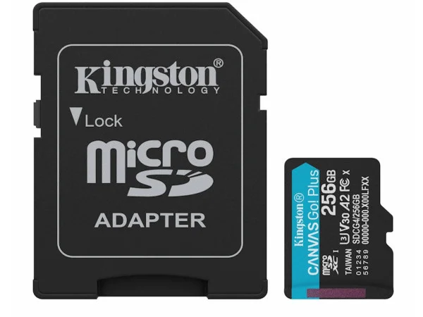 Kingston Memorijska kartica SDCG4 256GB Canvas Go!