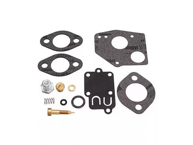 Set za reparaciju karburatora Briggs &; Stratton 495606