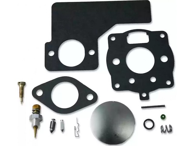 Set za reparaciju karburatora Briggs &; Stratton 394989