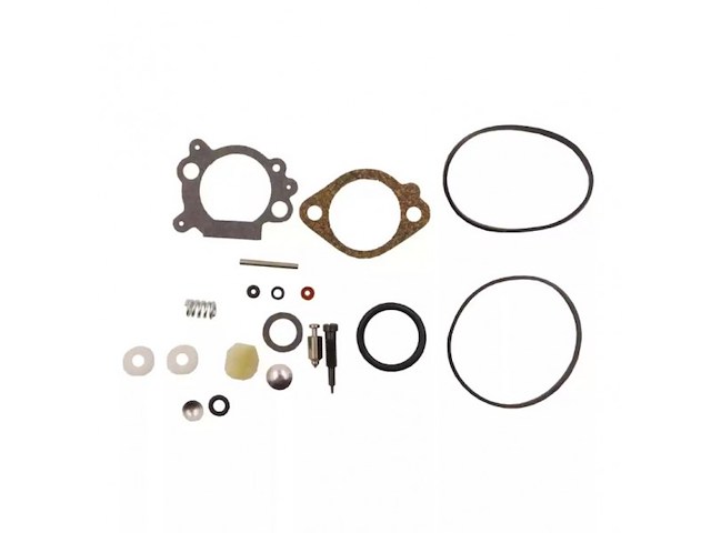 Set za reparaciju karburatora Briggs &; Stratton 3,5 do