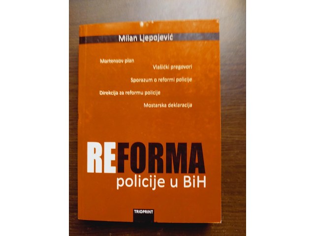 Milan Ljepojević - Reforma policije u BiH