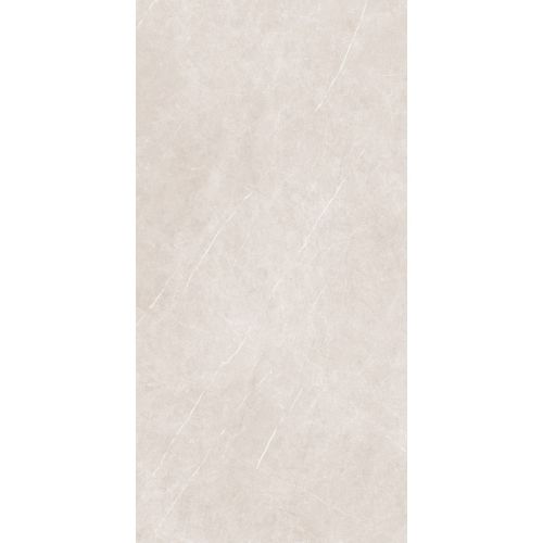 ARENA ELEGANT TAUPE 60X120 RECT 1.44